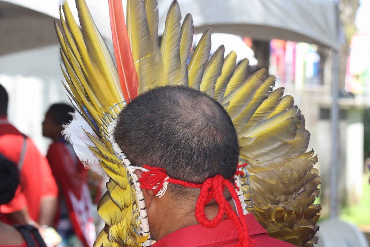 carifesta XI – suriname indigenous people @ fort zeelandia - simple farmer